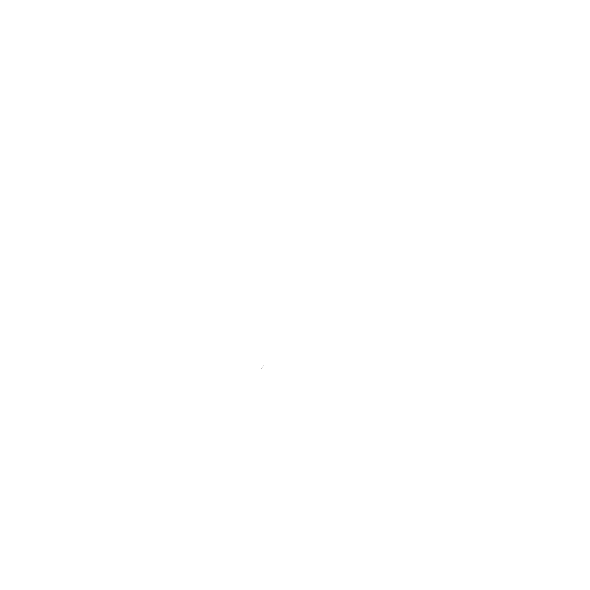 SL Performance Horses – The Stamping Iron